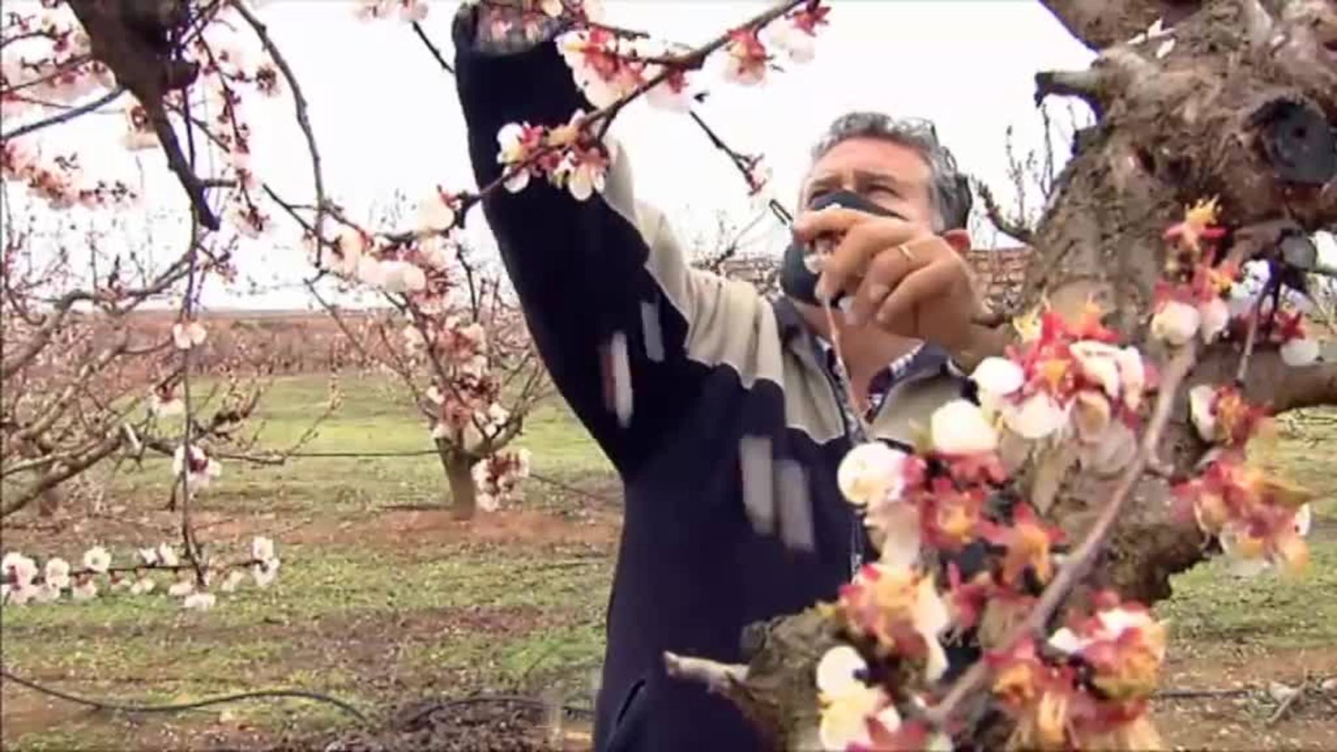 Llegan a España miles de temporeras marroquíes con PCR negativa para ...